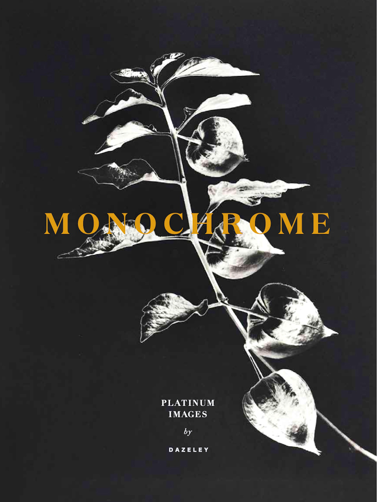 'Monochrome' Book - Dazeley